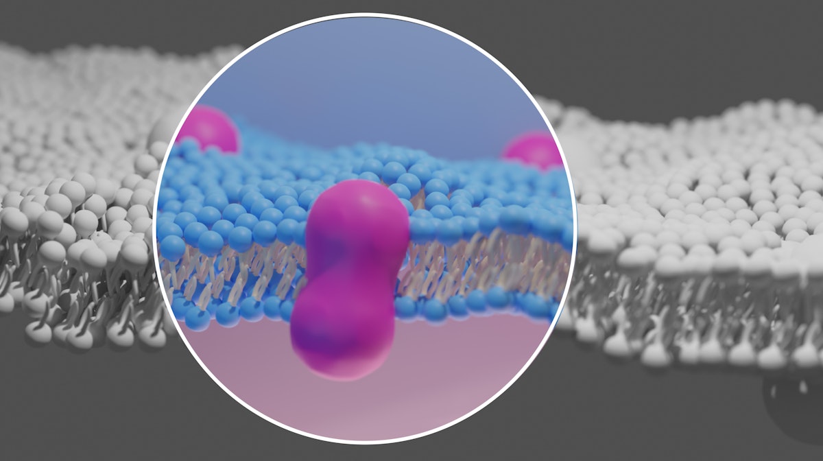 Advanced Extracellular Matrix Technology & Cell-Derived Biomolecules ...
